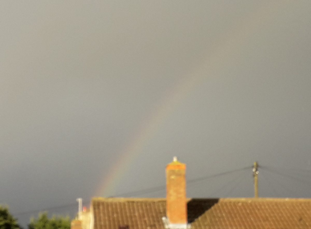 The Grief Bomb – Life Beckons